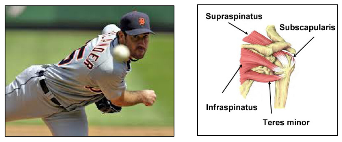 Strength and Stability with Tall Kneeling Wall Dribbles • RPP Baseball