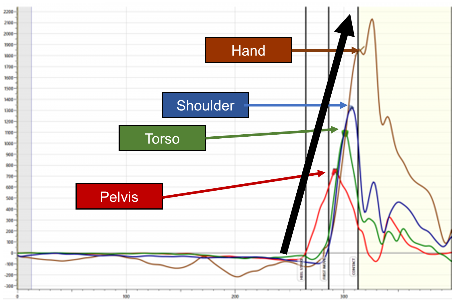 Two Fundamental Topics on the Baseball Swing • RPP Baseball
