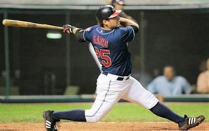 How to Analyze Baseball Swing Mechanics in 15 Steps • RPP Baseball