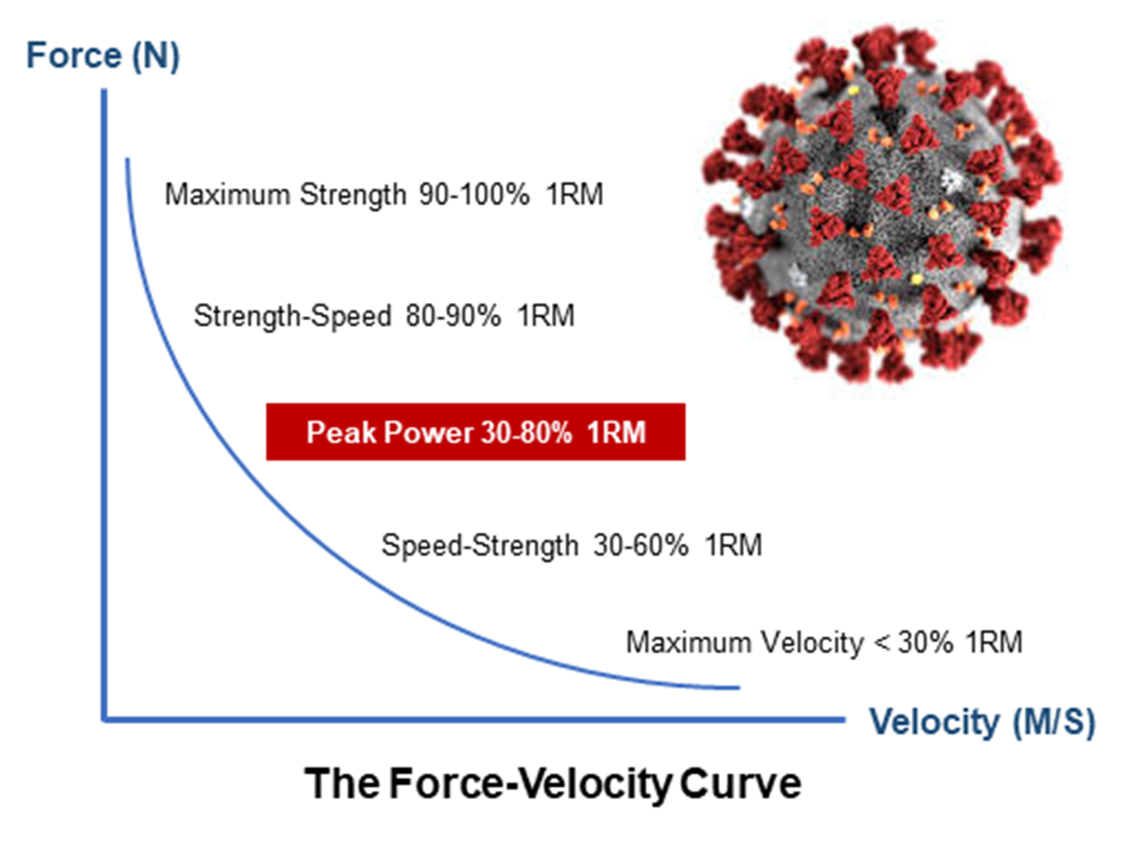 Maintaining Speed and Power during the COVID-19 Outbreak • RPP Baseball