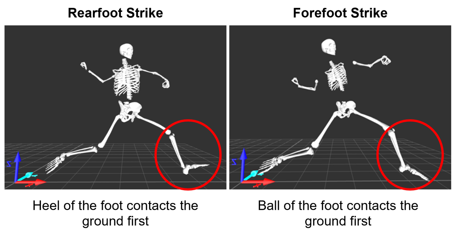 Pitching Biomechanics: Front Foot Landing Can Make Difference! • RPP ...
