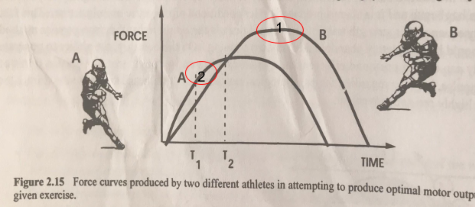 3 Pillars for Enhancing First Step Quickness • RPP Baseball