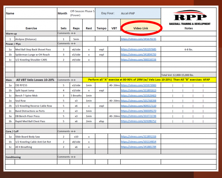 Remote Throwing Program • RPP Baseball