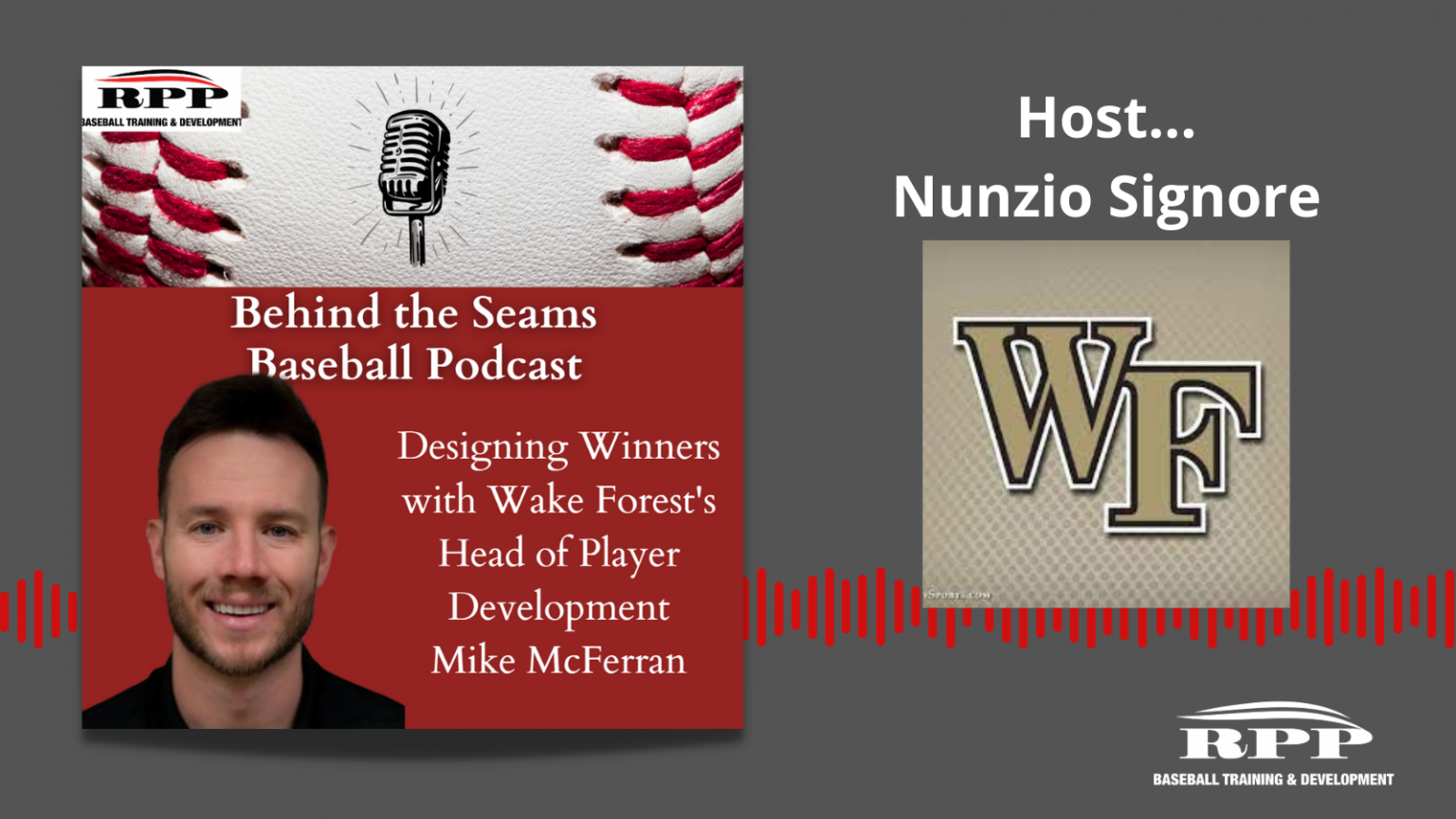 Blogs • RPP Baseball