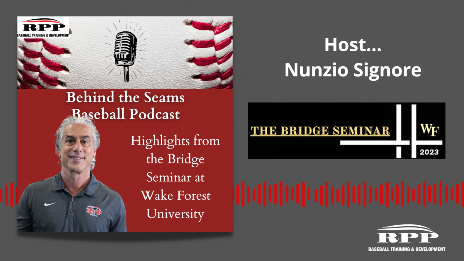 Blogs • RPP Baseball