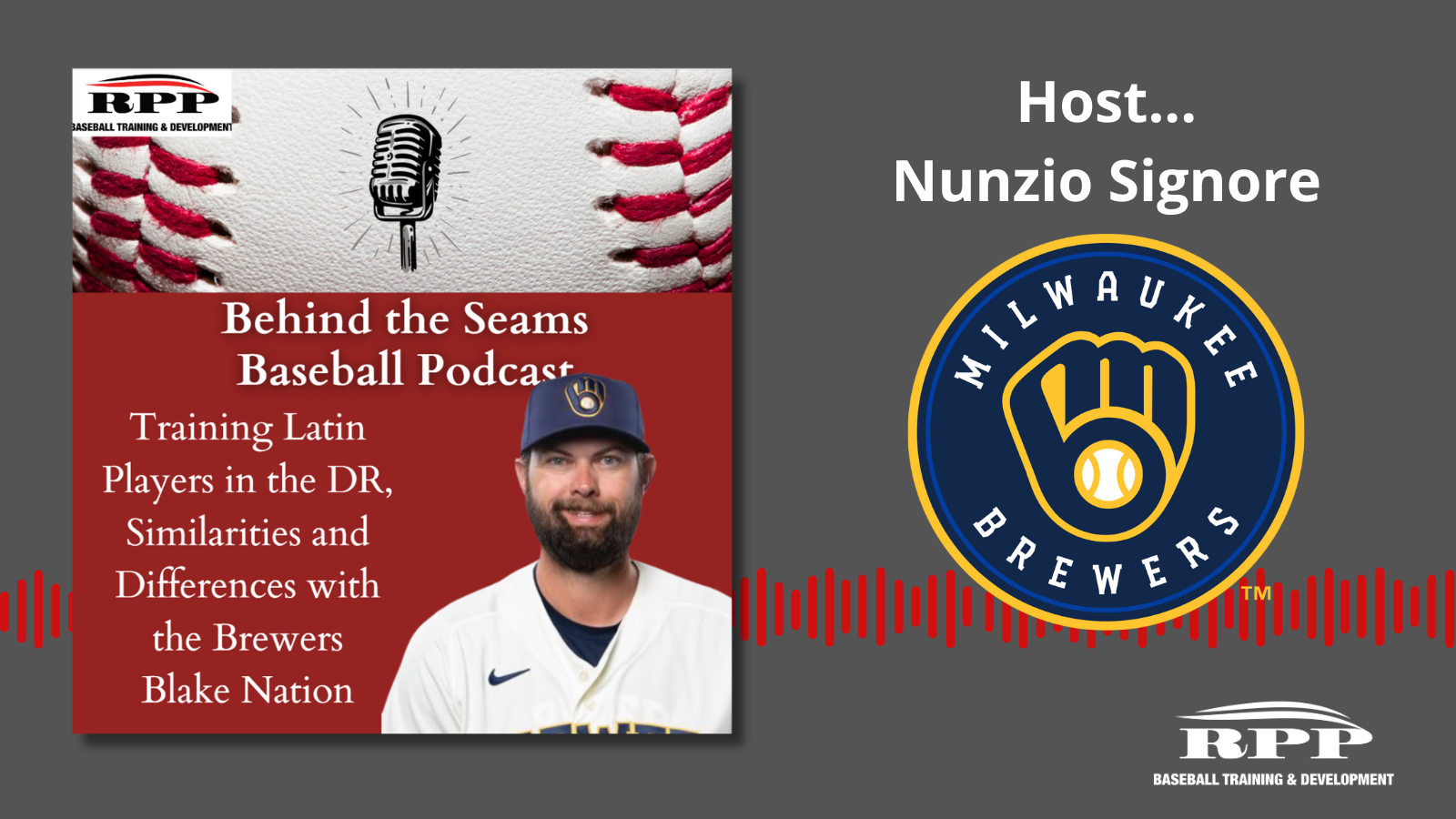 Blogs • RPP Baseball