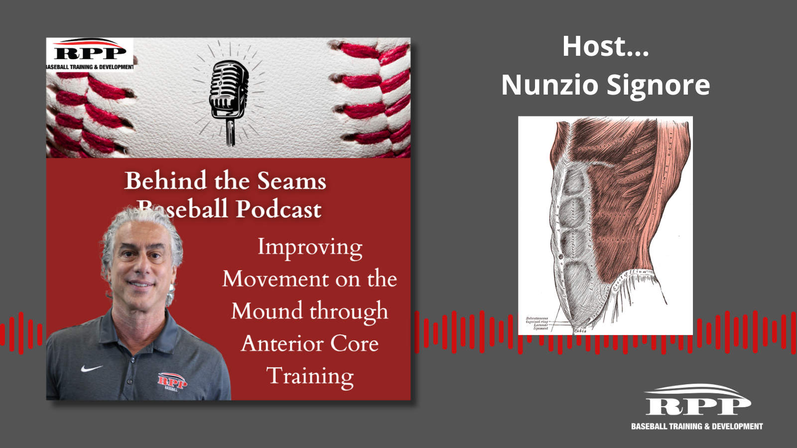 Blogs • RPP Baseball