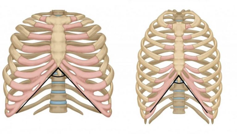 The Infrasternal Angle: Another Tool to Help Give Athletes What They ...